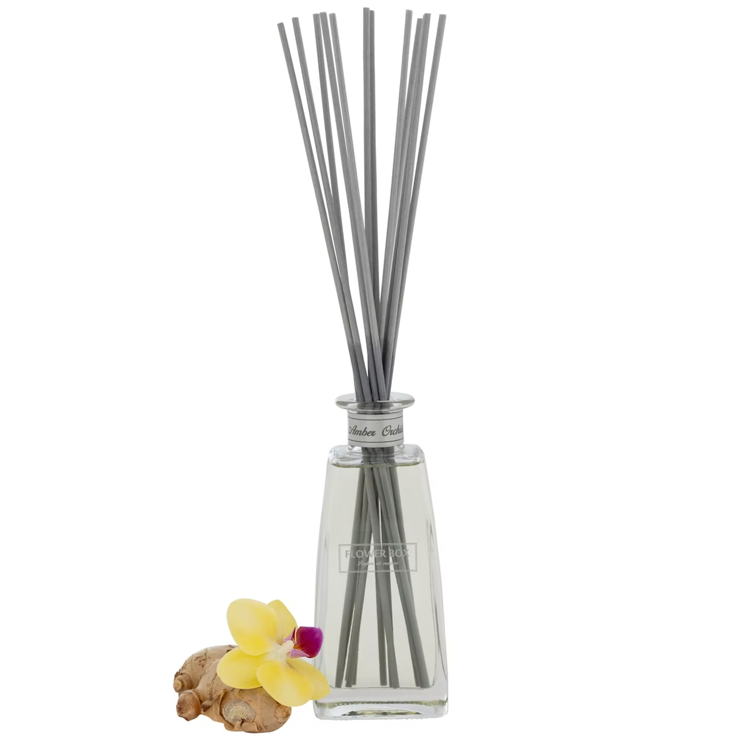 Amber Orchid - Standard Diffuser (210ml) – Flower Box Home Fragrance