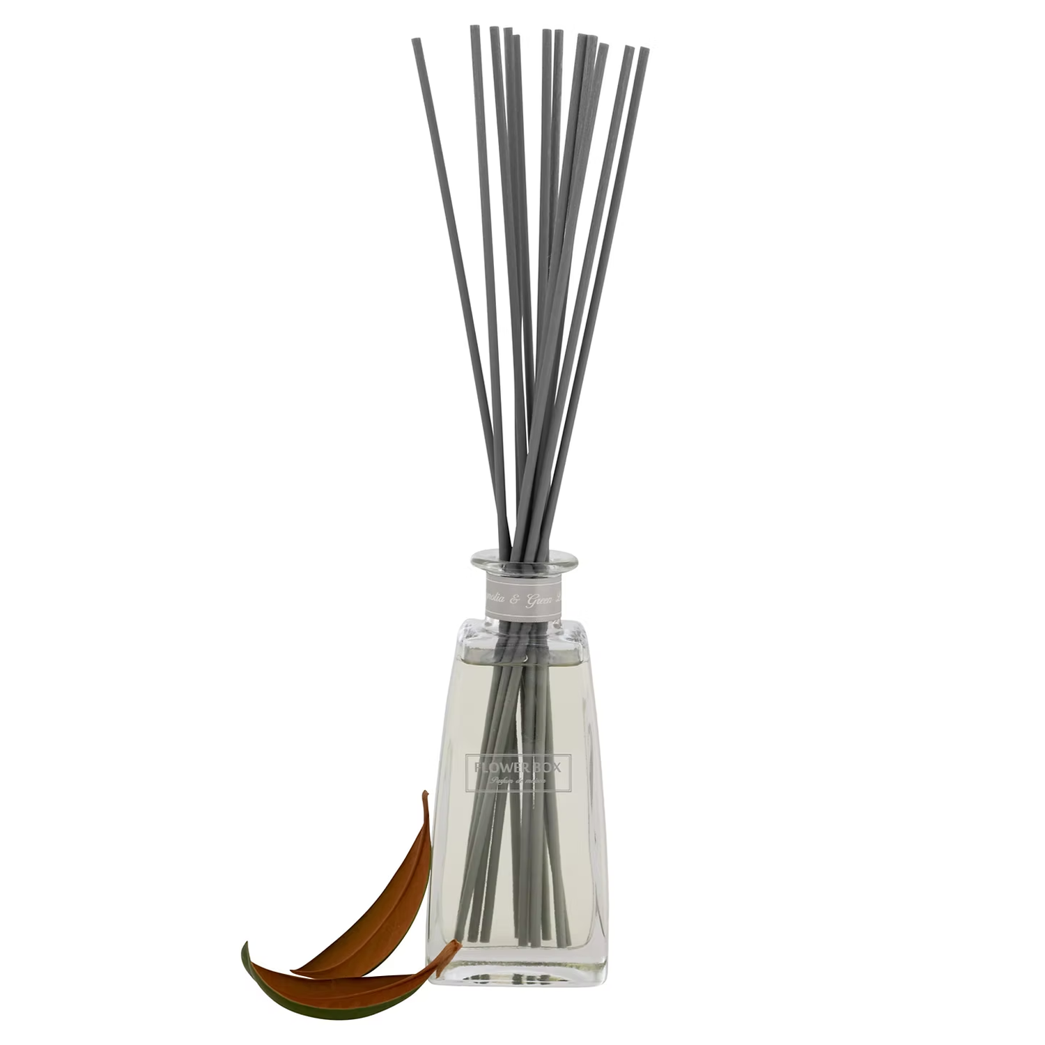 Magnolia & Green Leaves - Standard Diffuser (210ml) – Flower Box Home ...